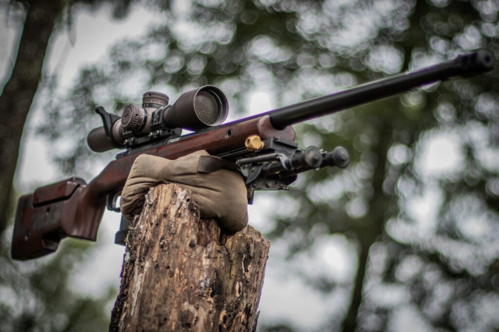 Genesis 2 (MG2) | Foundation Stocks