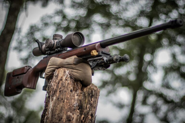 Genesis 2 (MG2) | Foundation Stocks