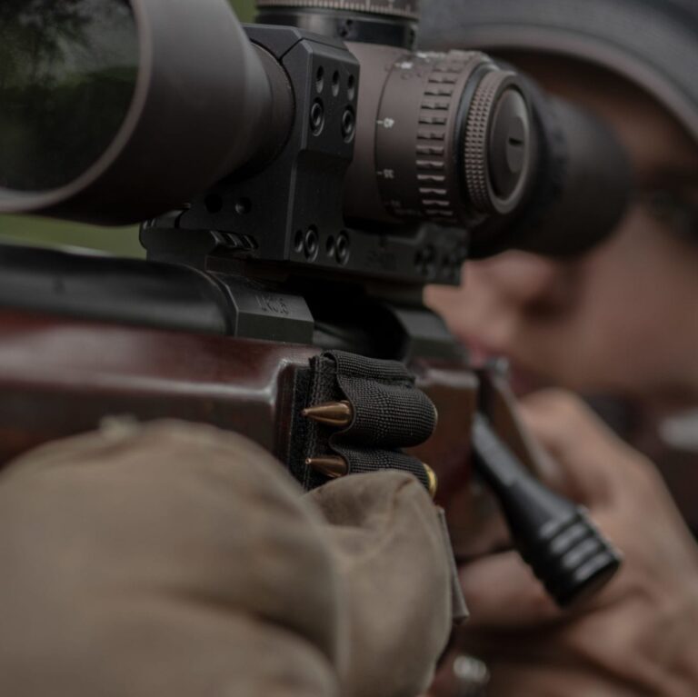 Genesis 2 (MG2) | Foundation Stocks